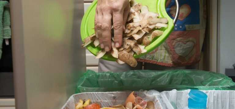 Best Techniques for Safe Waste Disposal